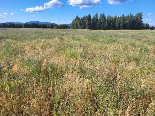 Short Rd, Deer Park, WA 99006