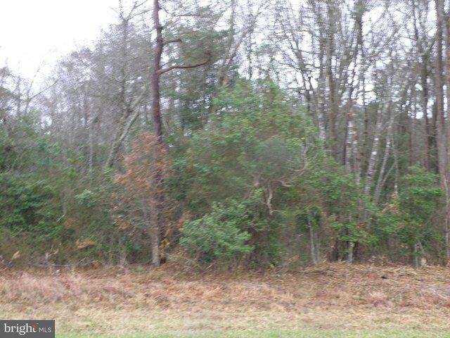 Shortly Rd Lot 7, Georgetown, DE 19947
