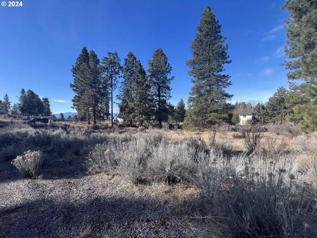 Shoshoni Way, Lot 4, Chiloquin, OR 97624 | MLS #24089