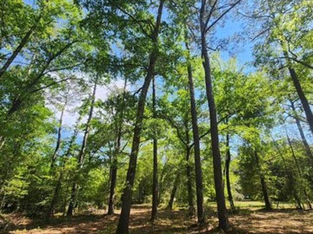 Shaw Hwy Lot 4, Rocky Point, NC 28457