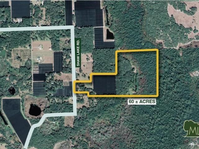 Shaw Lake Rd, Pierson, FL 32180 | MLS #V4946