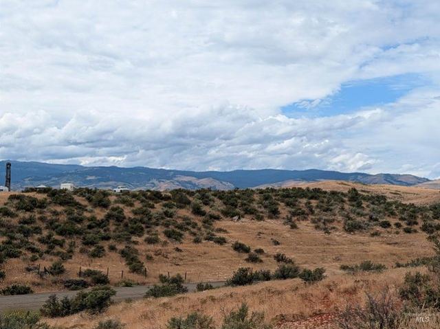 Shaw Ln, Council, ID 83612
