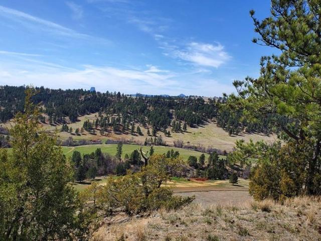 Shaw Rd, Hulett, WY 82720