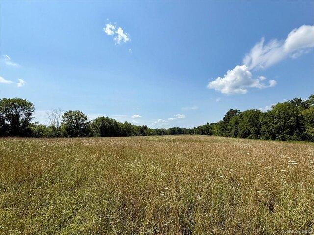 Shawangunk Rd, Middletown, Plot For Sale