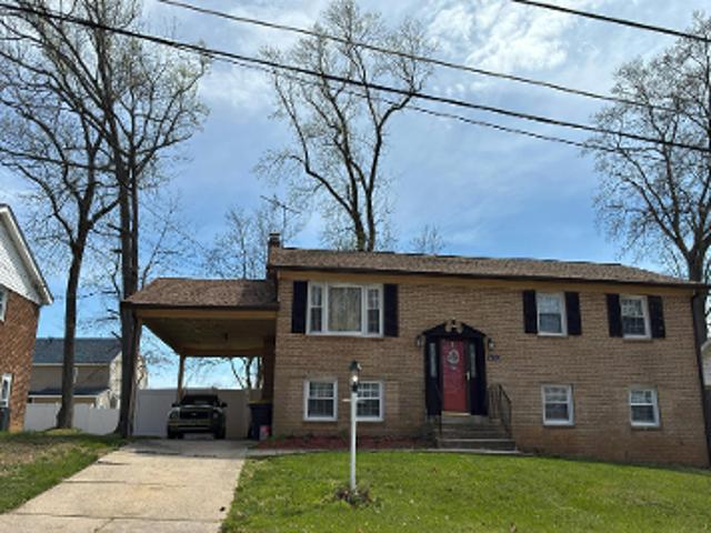 Shawn Ct