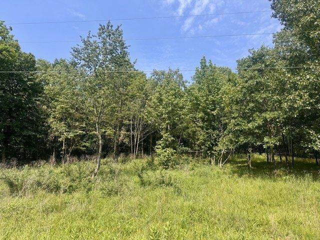 Shawnee Dr, Goreville, IL 62939