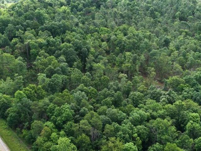 Shay Ridge Rd, Wingett Run, OH 45789