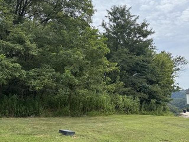 Shayna Ct, Smithville, TN 37166