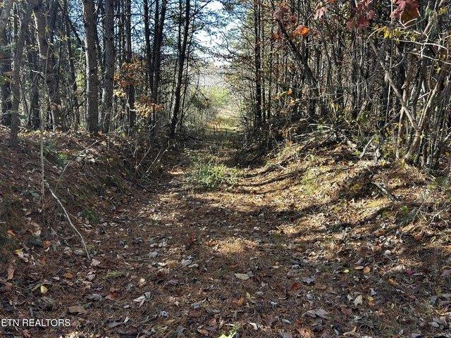 Shaddon Rd Lot 2, Tellico Plains, TN 37385