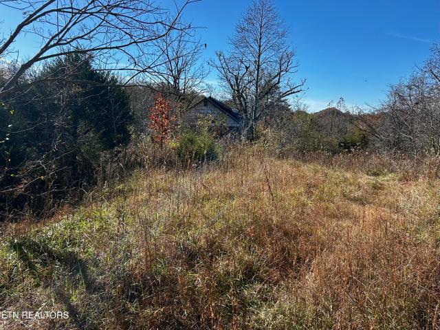 Shaddon Road Lot 1, Tellico Plains, TN 37385