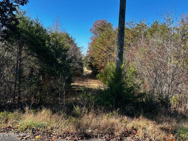 Shaddon Road Lot 2, Tellico Plains, TN 37385