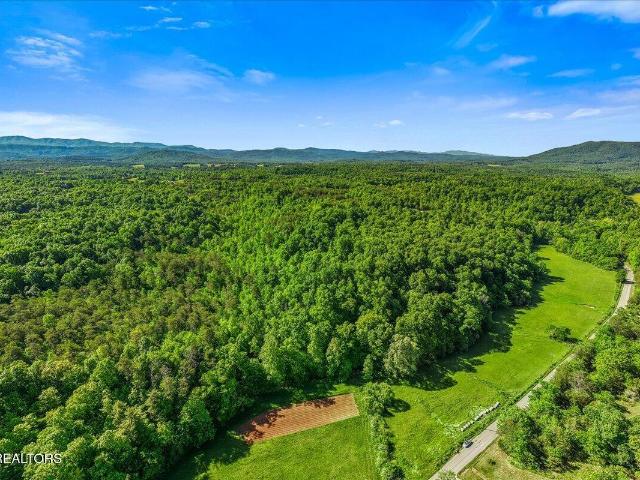 Shadden Road, Tellico Plains, TN 37385
