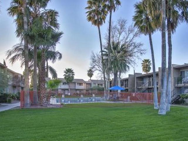 Shadowtree Apartment Homes 1 Bedroom Apartment for Rent at 201 N Wilmot Rd, Tucson, AZ 85711