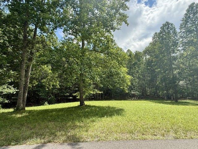 Shadow Rock Lot 17, Monteagle, TN 37356