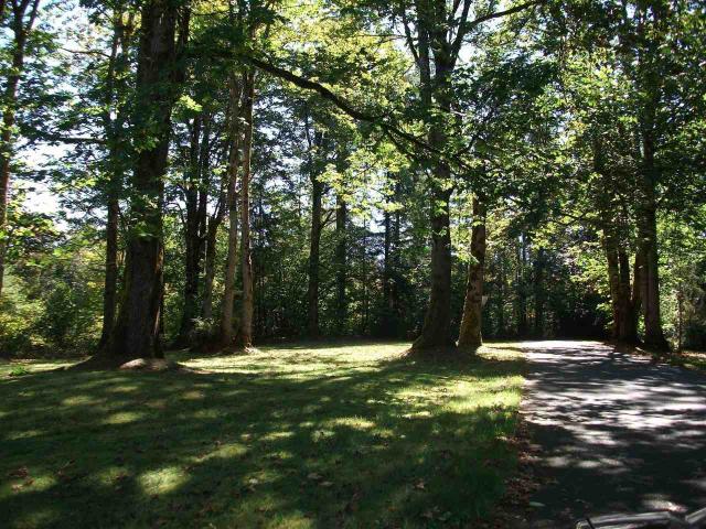 Shadow Woods 1 Bedroom Apartment for Rent at 22235 196th Ave Se, Renton, WA 98058