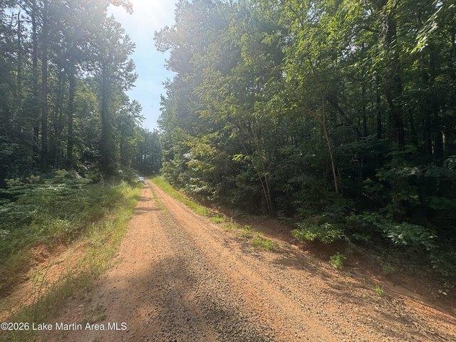 Shady Valley Dr Lots 12 & 13, Dadeville, AL 36853