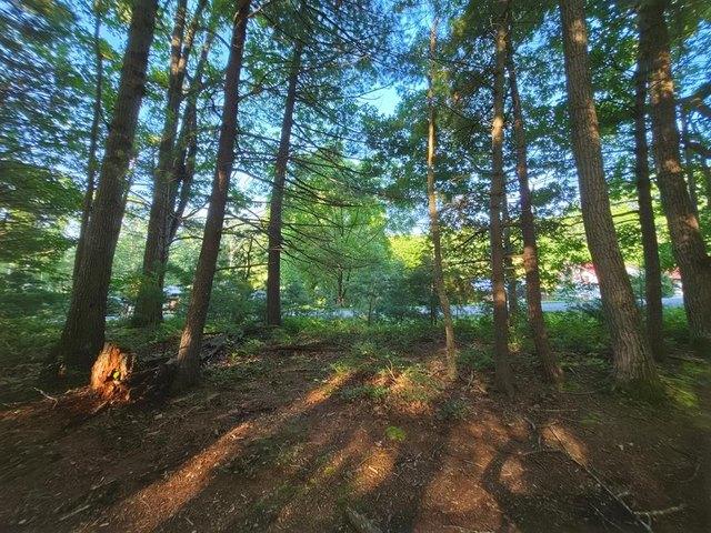 Shady Forest Rd Lot 16 19, Max Meadows, VA 24360