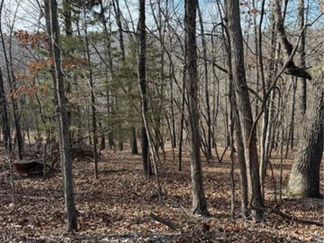 Shady Glen Rd Lot 76, Garfield, AR 72732