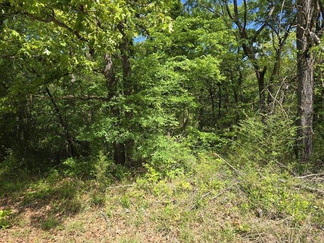 Shady Grove Rd Lot 701, Gun Barrel City, TX 75156