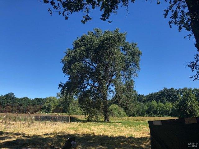 Shady Ln, Covelo, CA 95428