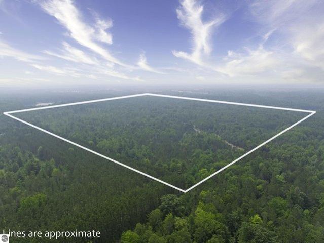 Shady Ln, Kalkaska, MI 49646