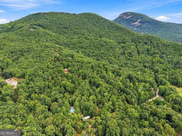 Shady Ln Lot 2, Cleveland, GA 30528