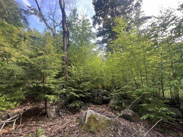 Shaker Rd, Loudon, Plot For Sale