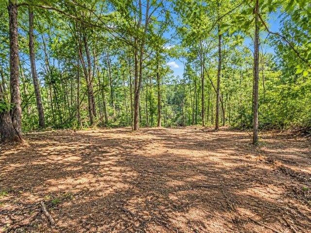 Shakerag Rd, Hanson, KY 42412