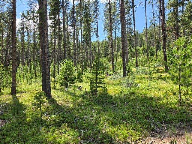 Shakopee Dr Lot 39, Anaconda, MT 59711