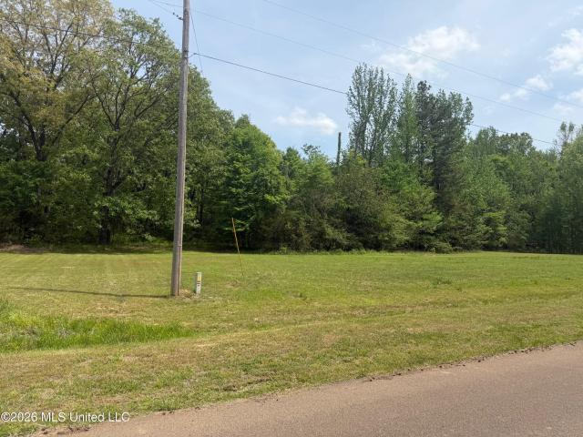 Shamrock Loop, Byhalia, MS 38611