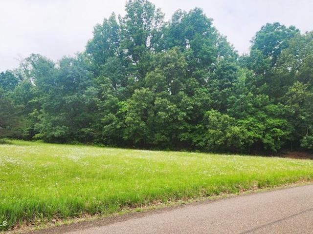 Shamrock Rd Lot 3, Paxinos, PA 17860