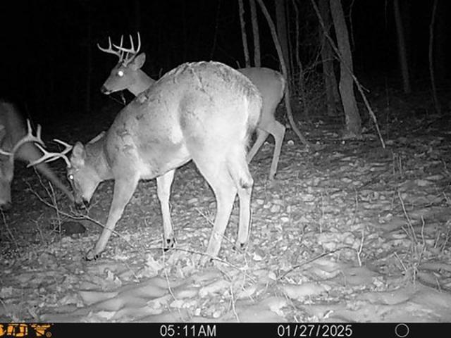 Shannon Rd, Frazeysburg, OH 43822
