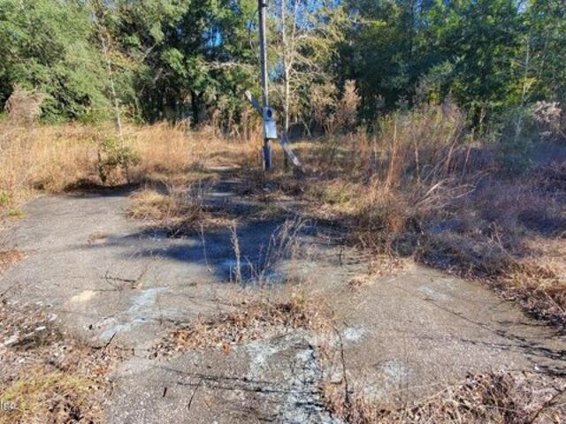 Shappell Ave, Interlachen, Plot For Sale