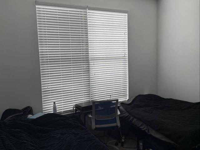 SHARED BEDROOM looking for roommate