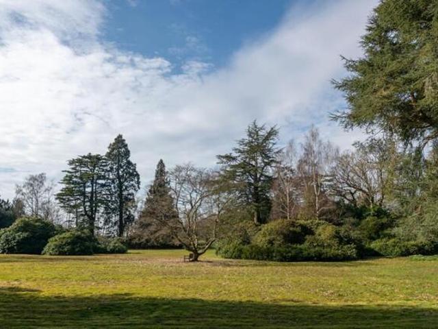 Shared Living/roommate 3 Bedroom For Sale Surrey Surrey 700000 ELS100541123