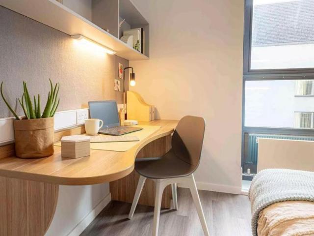 Shared Living/roommate 100 Bedroom For Rent London London 1307 ELS90563908
