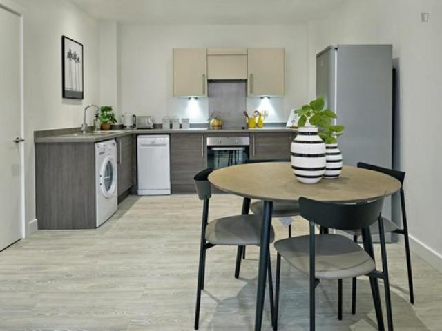 Shared Living/roommate 1 Bedroom For Rent Manchester Manchester 2392 ES90560764