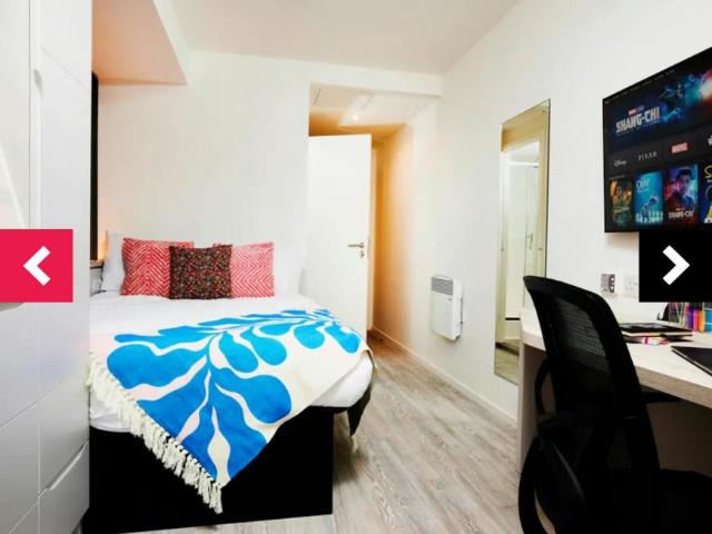 Shared Living/roommate 1 Bedroom For Rent Belfast Belfast 1090 ELS93538040