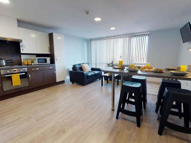 Shared Living/roommate 1 Bedroom For Rent Birmingham Birmingham 756 ELS97667633