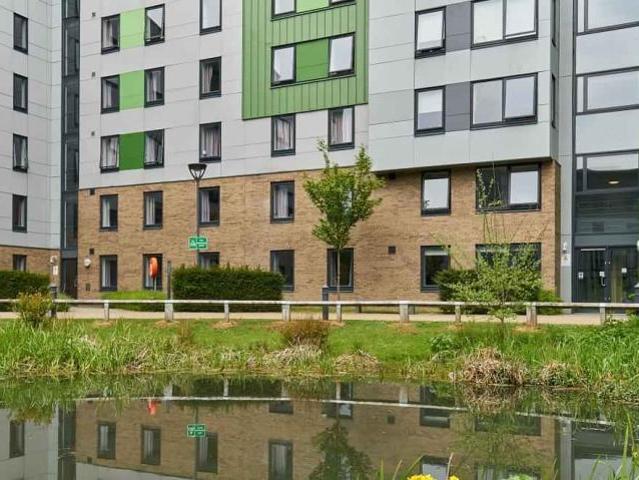 Shared Living/roommate 1 Bedroom For Rent Bradford Bradford 300 ELS99495237