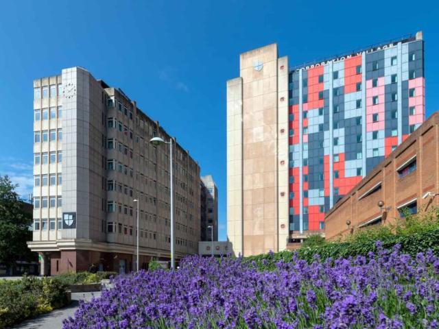 Shared Living/roommate 1 Bedroom For Rent Coventry Coventry 596 ELS97408797
