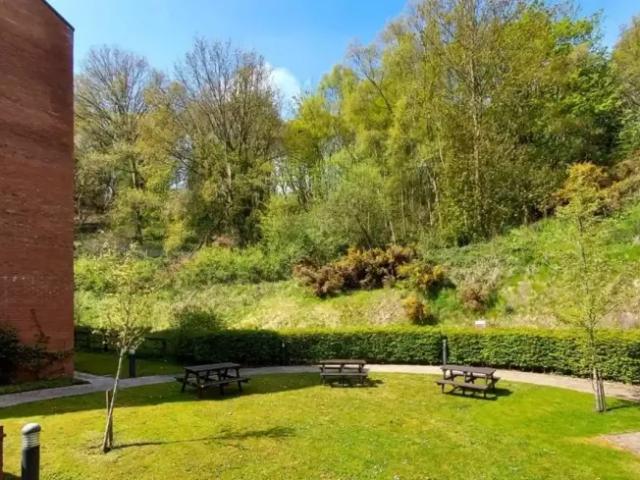 Shared Living/roommate 1 Bedroom For Rent Durham Durham 1280 ELS99500936