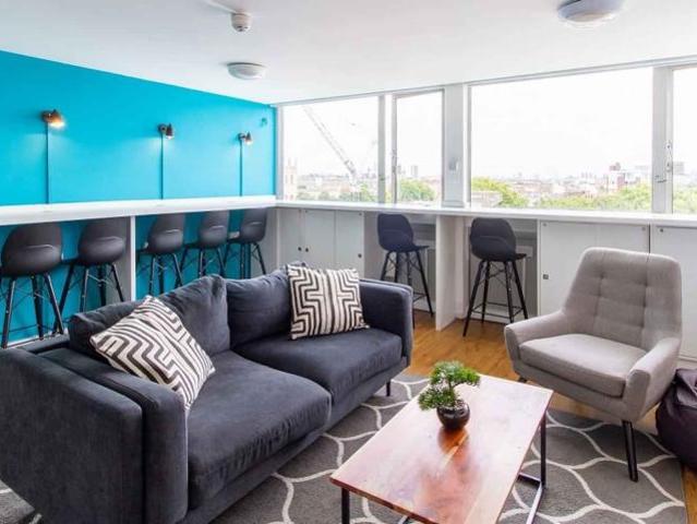 Shared Living/roommate 1 Bedroom For Rent London London 1876 ELS99499750