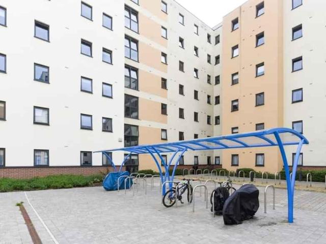 Shared Living/roommate 1 Bedroom For Rent Swansea Swansea 868 ES97763571