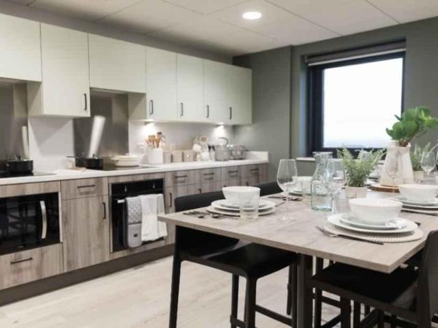 Shared Living/roommate 1 Bedroom For Rent Swansea Swansea 1020 ELS97665817