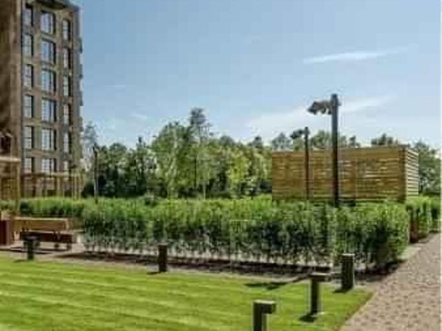 Shared Living/roommate 1 Bedroom For Rent Wembley Wembley 2716 ELS90499435