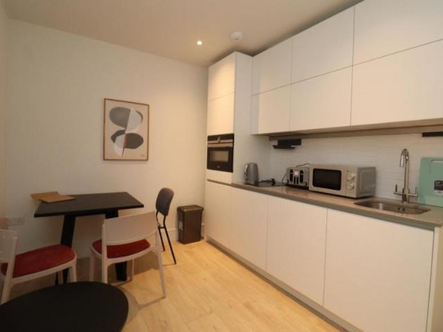 Shared Living/roommate 2 Bedroom For Rent London London 1344 ES90560858