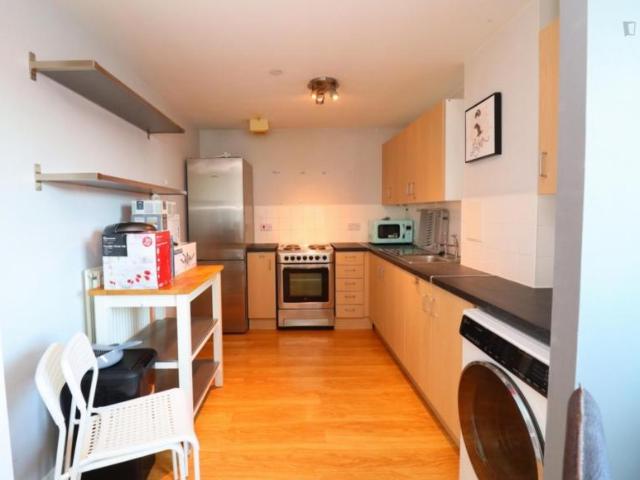 Shared Living/roommate 2 Bedroom For Rent London London 1300 ES90563839