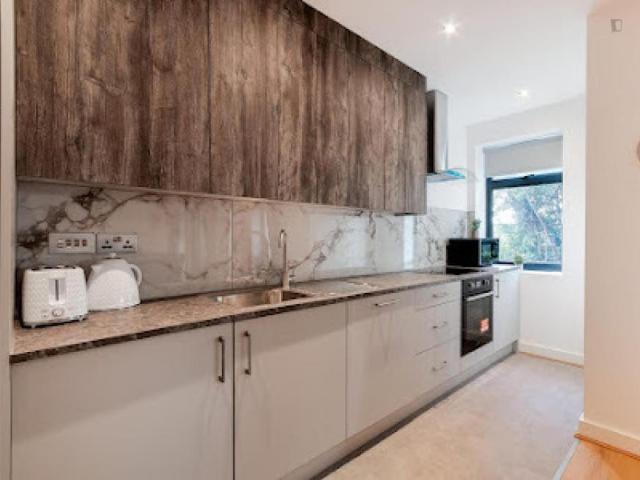 Shared Living/roommate 2 Bedroom For Rent London London 3718 ELS90561312