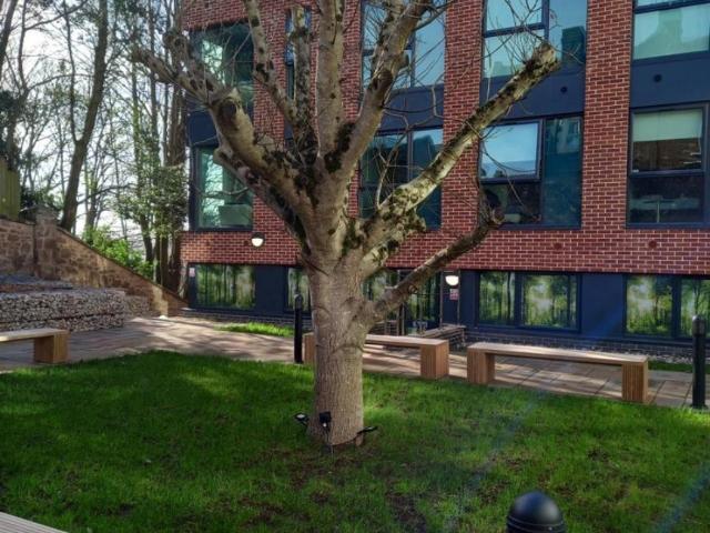 Shared Living/roommate 40 Bedroom For Rent Exeter Exeter 900 ES90561425